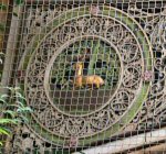 Western Derby Trails - UPPER FRIAR GATE | Conservation Area | Derby
