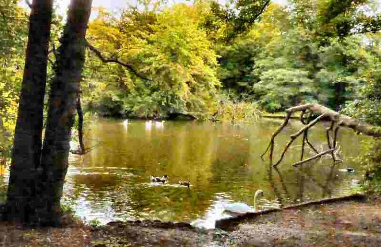 Allestree Park - Discover Derby Allestree Park|Derby|Derbyshire