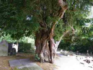 Allestree | Derby | Places to visit in Derby and Derbyshire